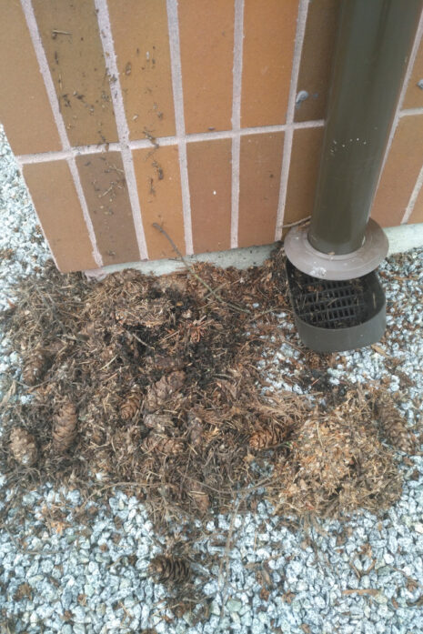 Funnels & Leaf Traps - Kymar Gutters Inc.